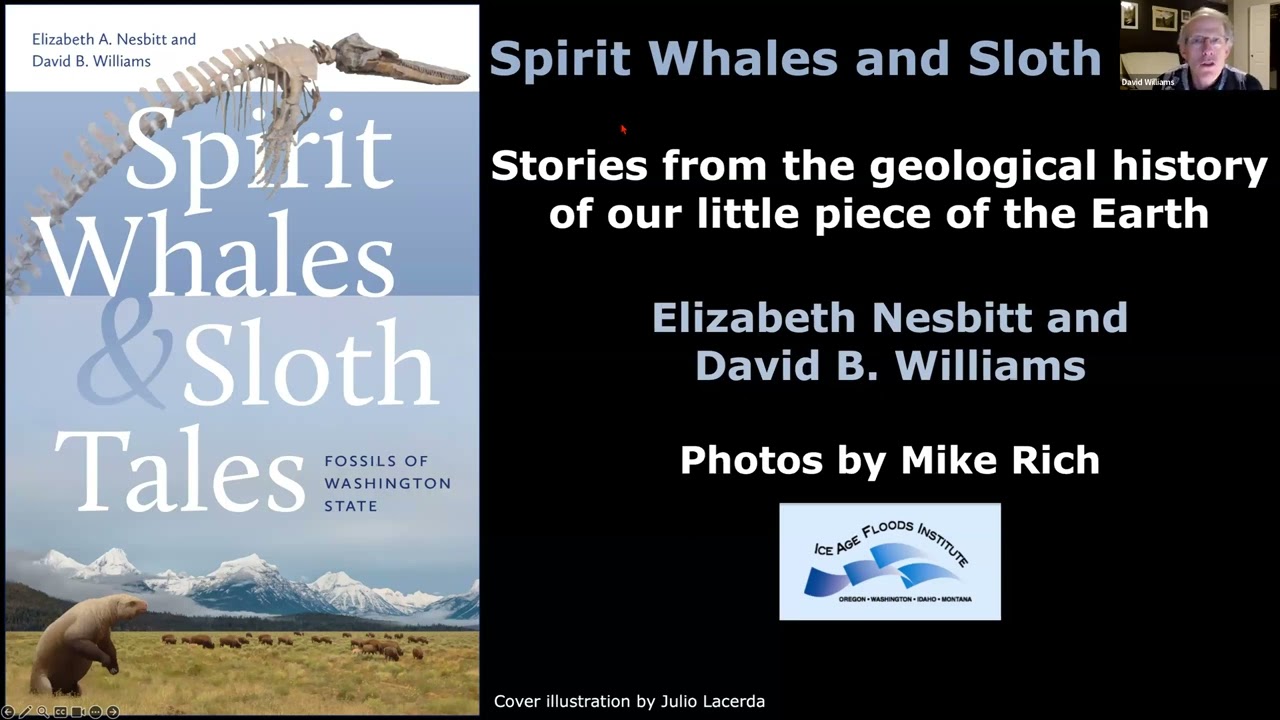 Spirit Whales & Sloth Tales