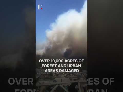 Chile: At Least 112 Killed In Raging Forest Fires | Subscribe to Firstpost