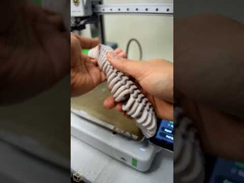 3D Printed Skeleton Snake – 23" Long and Fully Articulated #skeleton #snake #3dprinted #fidgettoy