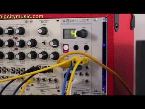 Mutable Instruments Yarns iMuso