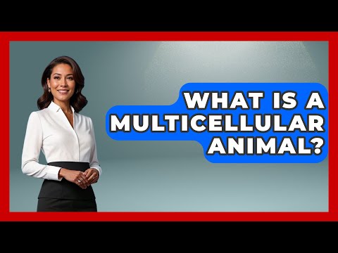 What Is A Multicellular Animal? - Biology For Everyone