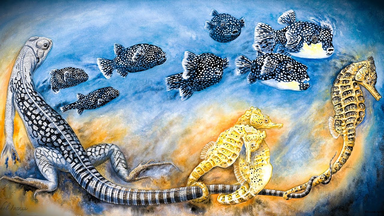 THe ART oF RaCHeL IVaNYi