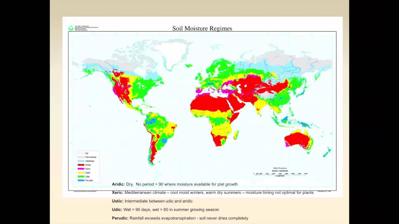 ENHS793 Wk 2 Soil Formation Factors and Processes