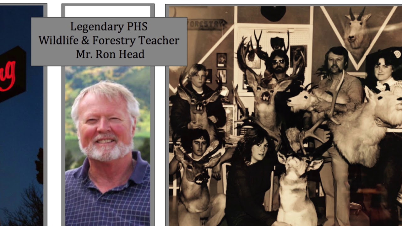 Petaluma Wildlife Museum - Introduction Video