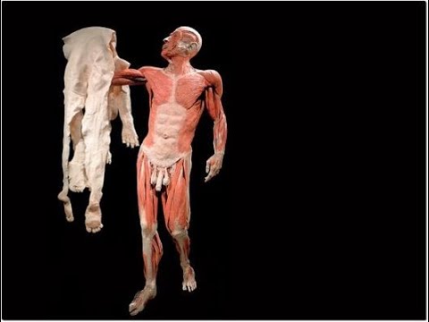 The Language of Medicine Ch16 The Skin