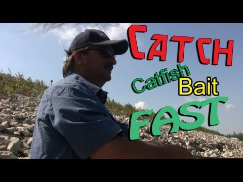 How to catch Skipjack Herring for Catfish bait