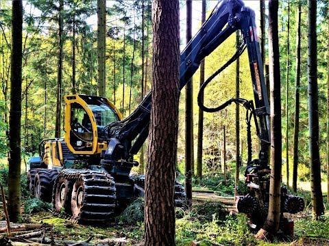 🎄 HSM 405-H4 • *THE biggest Harvester* • Forstbetrieb Aichholz • X270 & Waratah 415 • Part-3 🎄