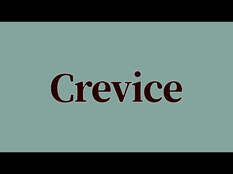 Crevice Meaning and Definition
