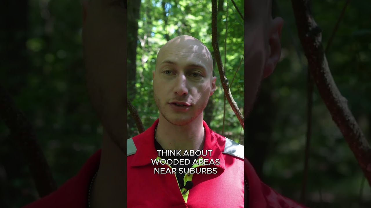 SARTECH 3 NASAR Certification Capabilities Explained | National Association for Search and Rescue