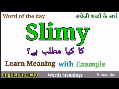 Slimy Meaning | Important Vocabulary | Words Meanings