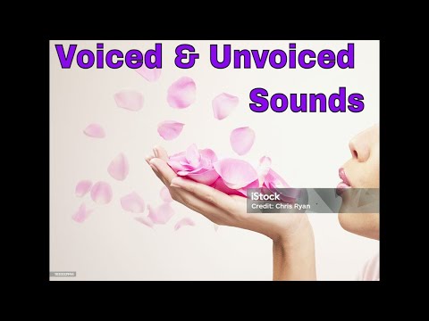 The Difference between Voiced and Unvoiced Sounds in English
