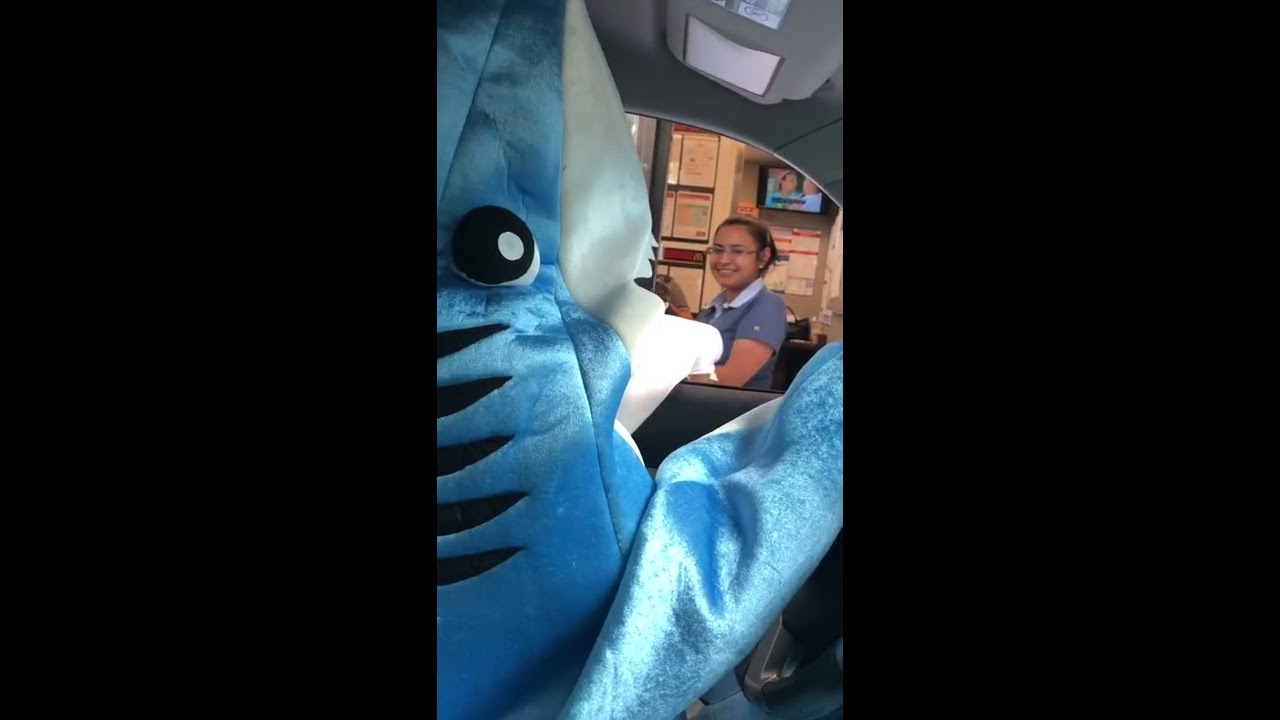 The Best of Shark Week: Wally Show Style | WayFM