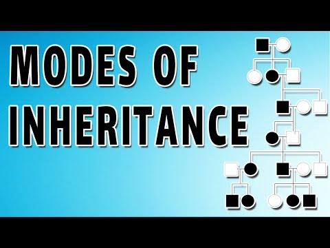 Autosomal Dominant Inheritance in Human Genetics
