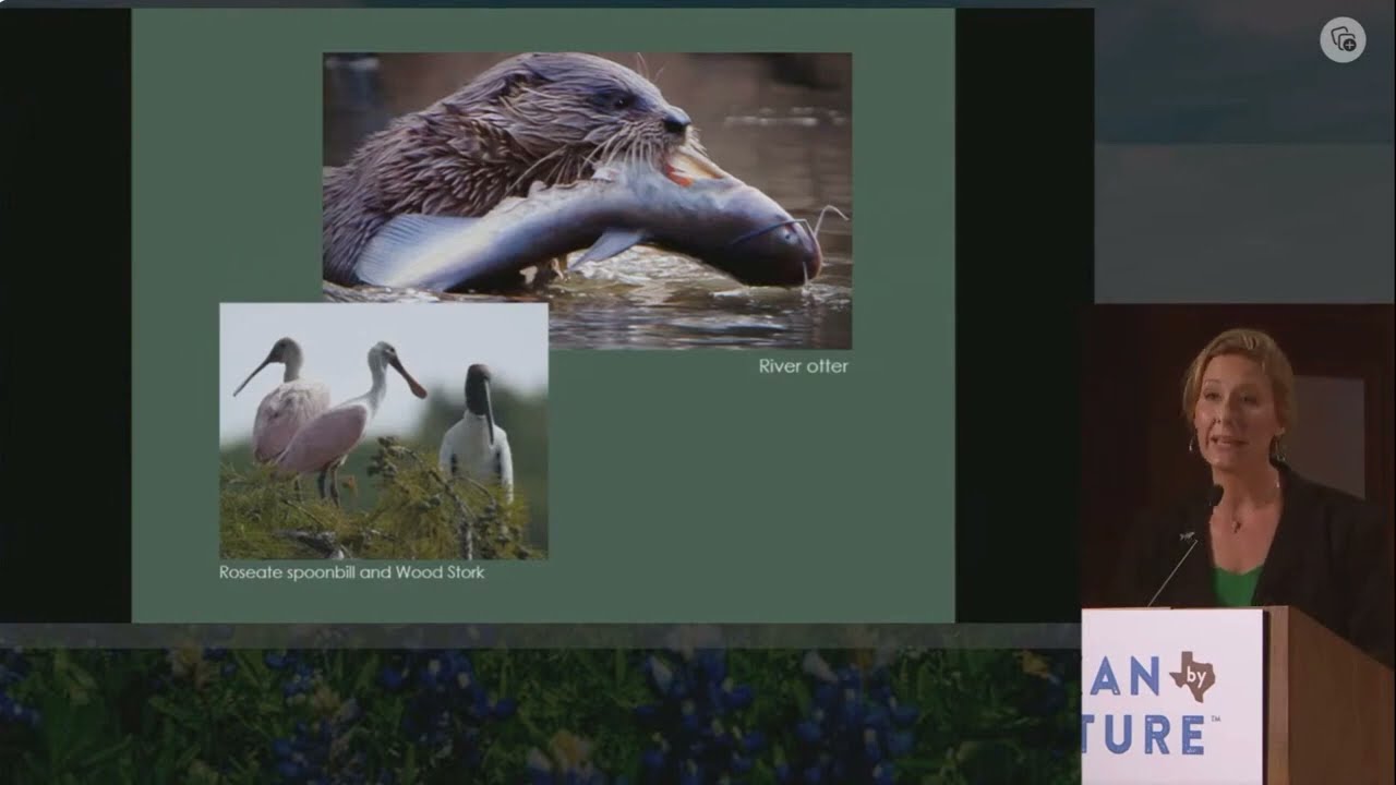 • Watch Caddo Lake Institute at the 2023 Texan by Nature Conservation Summit