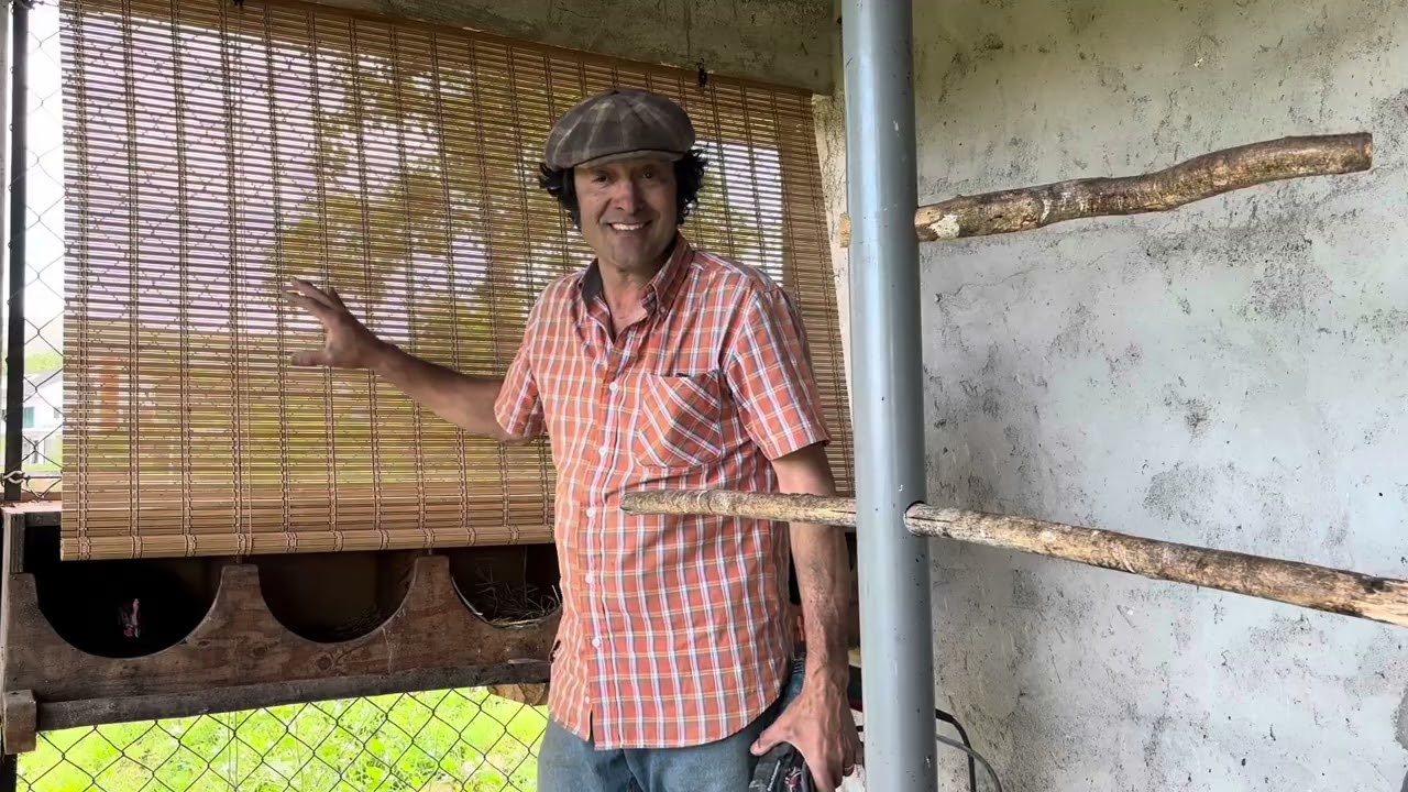 #120b Raising chicken like my grandmother did 