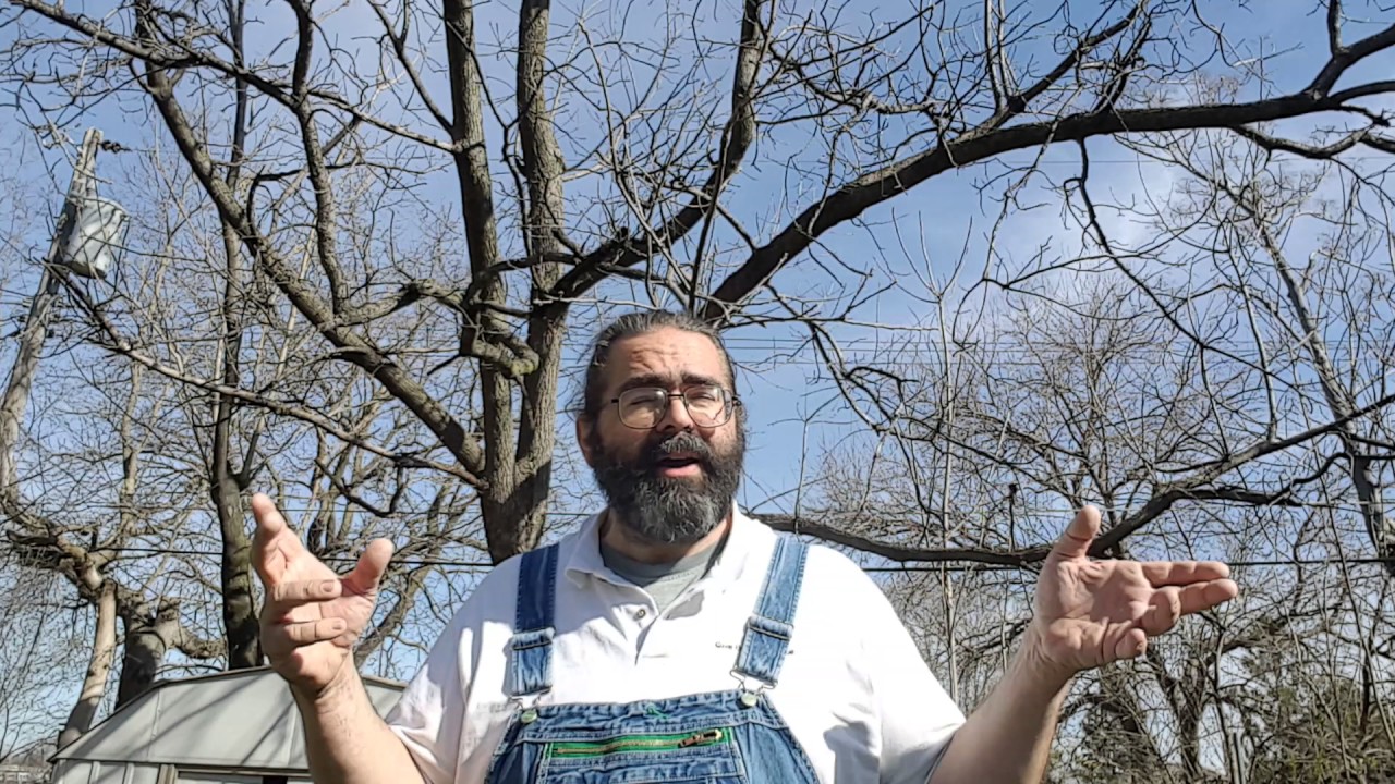 IPM Is For All Beekeepers