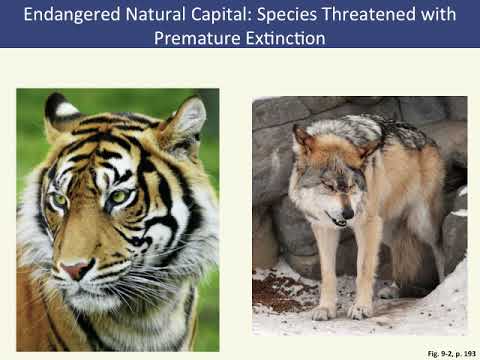 APES - Chapter 9: Sustaining Biodiversity: The Species Approach