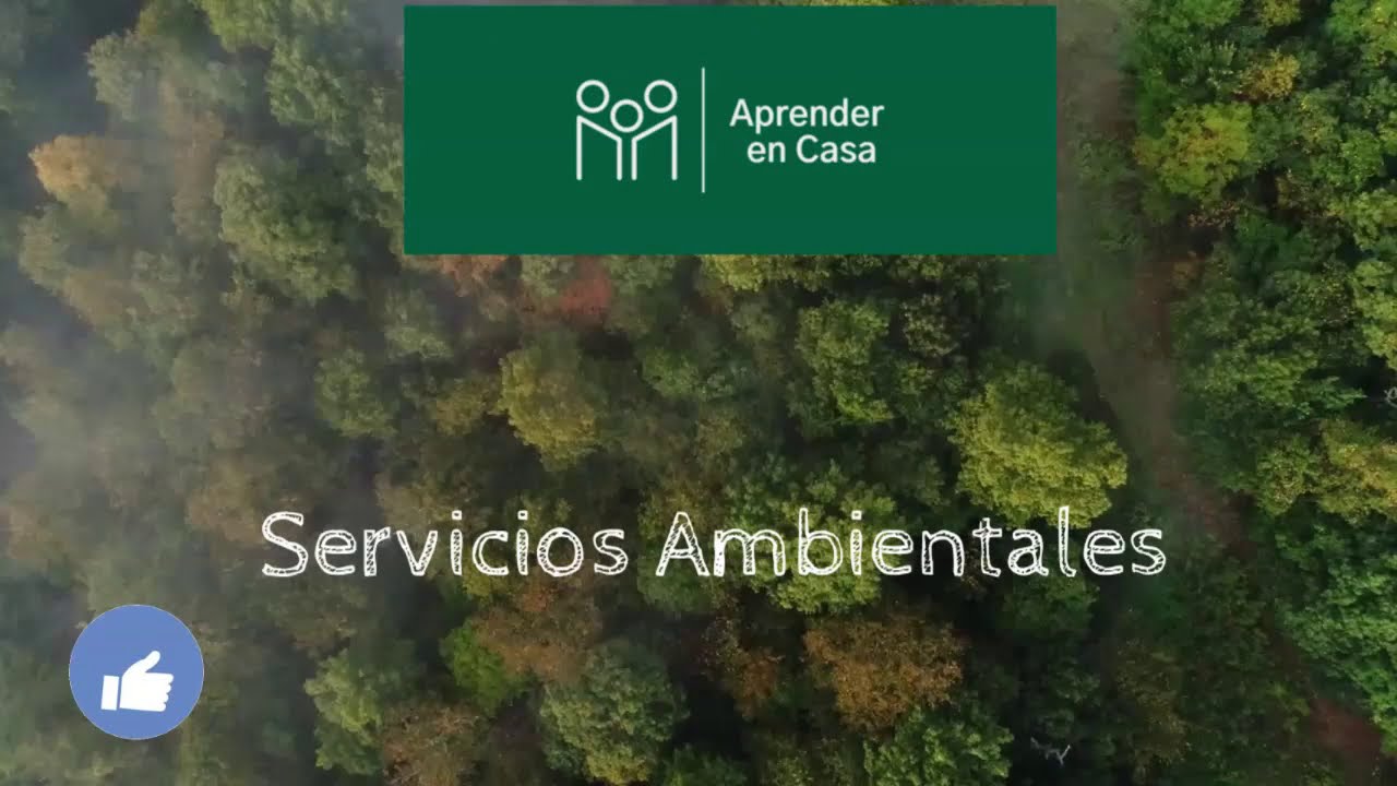 Environmental services provided by natural regions - learn at home