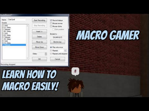 HOW TO MACRO WITH MACRO GAMER!! (REAL MACRO)