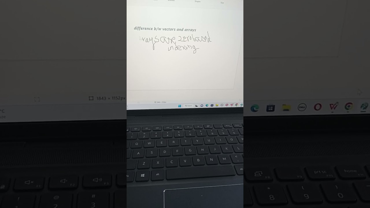 difference between arrays and vectors