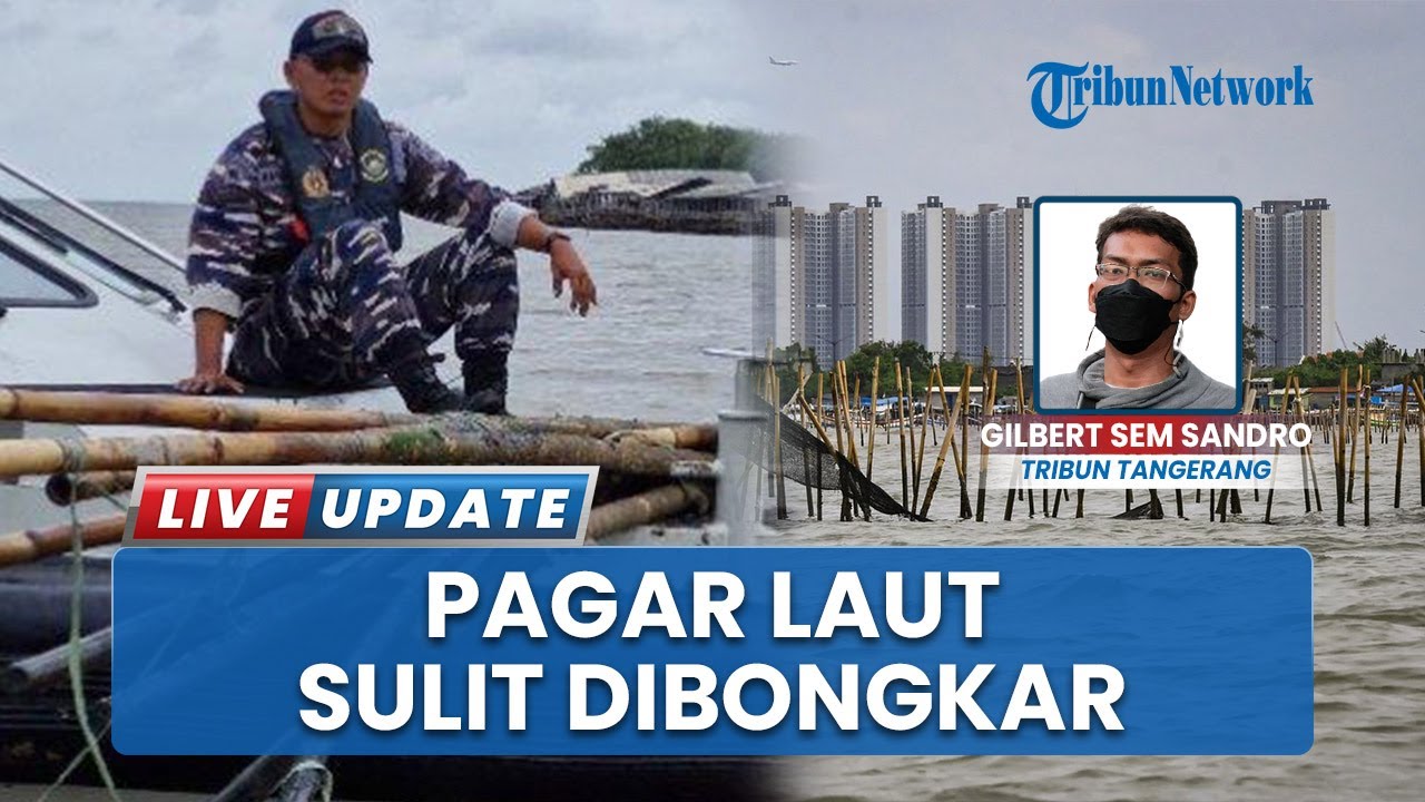 Pagar Laut di Pesisir Tangerang Pakai Bambu 7 Meter, Proses Pembongkaran sampai Menggunakan ...
