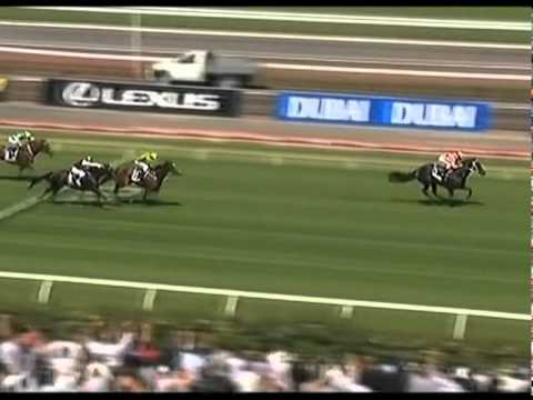 TVG Promo - Black Caviar