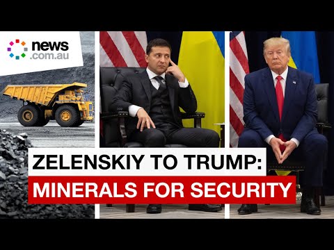 "Let's do a deal": Zelenskiy offers Trump minerals for security