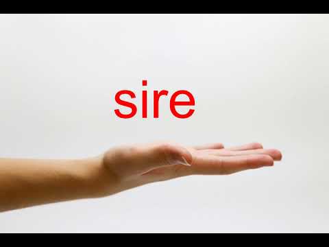 How to Pronounce sire - American English