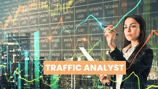 What is the role of a Traffic Analyst