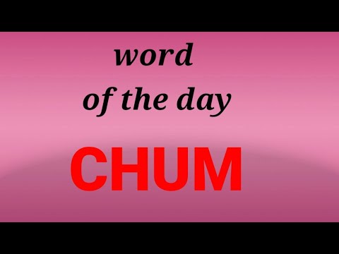 #wordoftheday chum ka Hindi mey mtlb janiye
