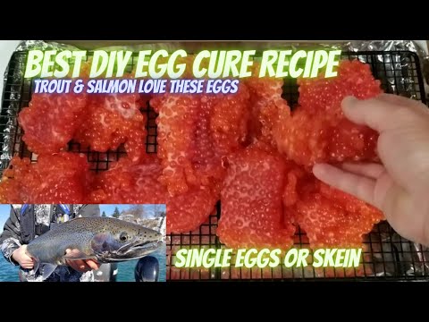 HOW TO CURE SALMON EGGS FOR FISHING BAIT, Simple and Effective Recipe for Skeins or Single Eggs