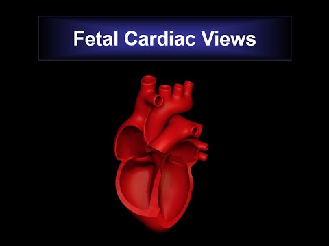13_FETAL CARDIAC VIEWS