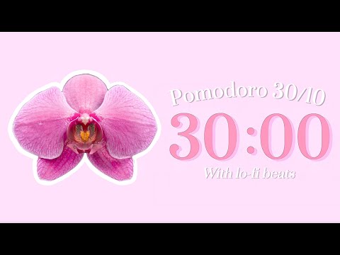 2-hours orchid blooming focus session 🩷🌸| 30/10 Pomodoro timer | Relaxing Lofi music 🤍🎧