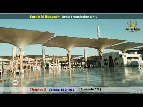 What does the Quran say about war and jihad? || Episode 14 || Surah Al Baqarah || Verses 189-195
