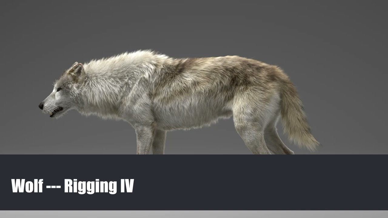Grey Wolf -- Rigging IV
