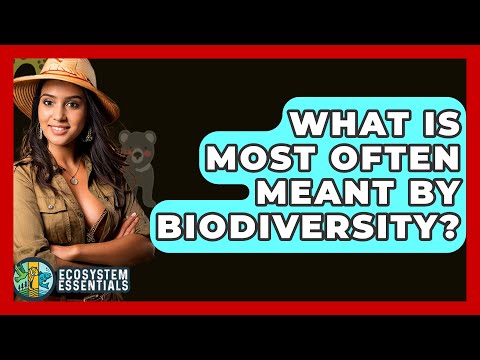 What Is Most Often Meant By Biodiversity? - Ecosystem Essentials