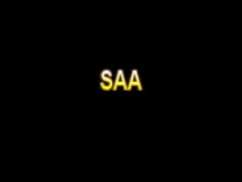 What Is The Definition Of SAA Medical School Terminology Dictionary