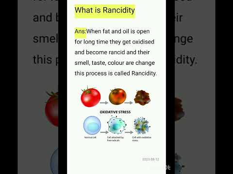 What is Rancidity class 10 chemistry chapter 1