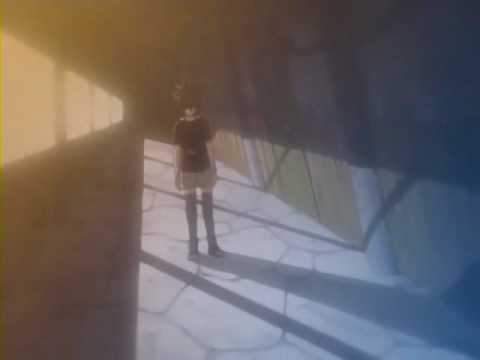 Anko Tribute