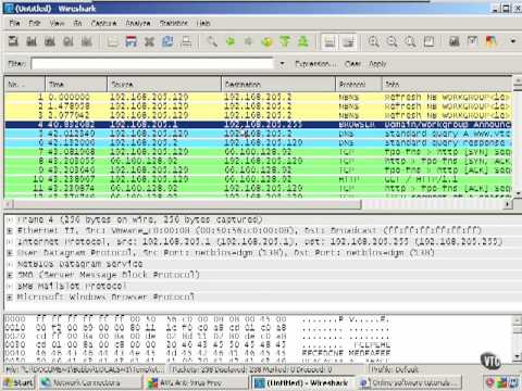 03 Demonstration An IP Packet Header