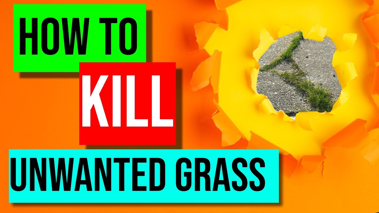 How to Kill Unwanted Grass