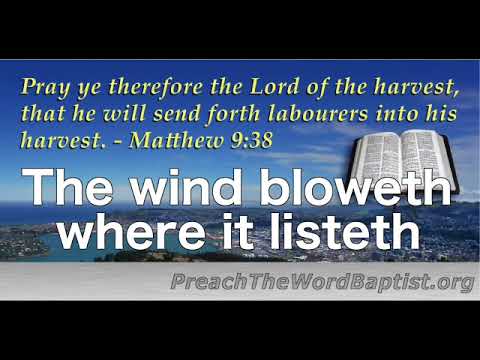 The wind bloweth where it listeth (2019-09-22p)