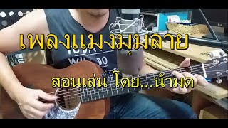 คอร์ดเพลง แมงมุมลาย - เพลงเด็ก (คอร์ดง่ายๆ) | Chordzaa.com