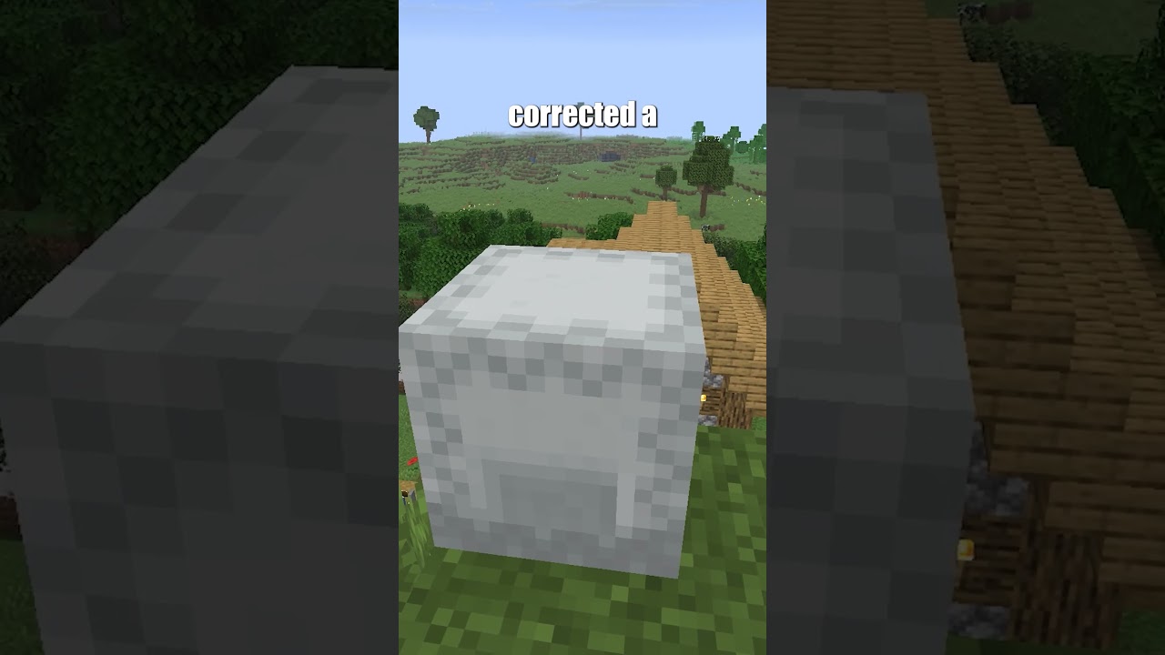 Painting the INSIDE of the SHULKER in Minecraft!  #minecraft #texturepack