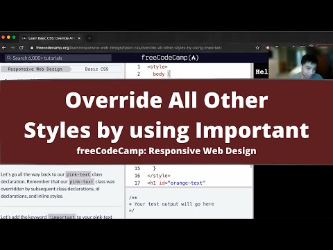 Override All Other Styles by using Important (Basic CSS) freeCodeCamp tutorial