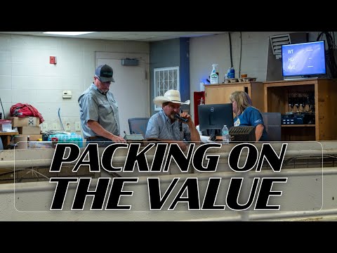 Packing on the Value - Joplin Value added market report June '25