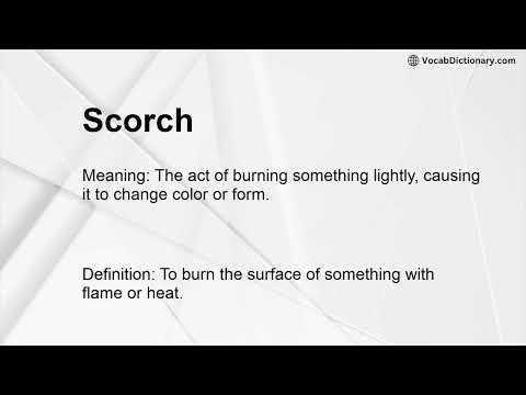 Scorch Meaning