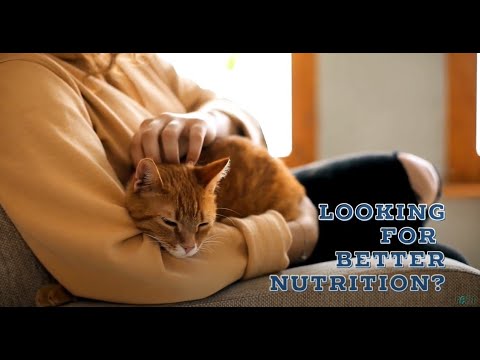Simply Naked Cat Food - Certified Sustainable Fish First Pet Food