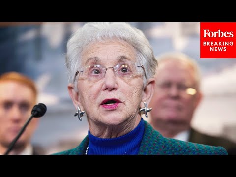 Virginia Foxx Takes Aim At NGOs That 'Help Illegal Aliens Get Into Our Country'