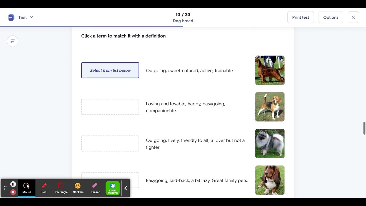 Dog Breed Flashcards | Quizlet